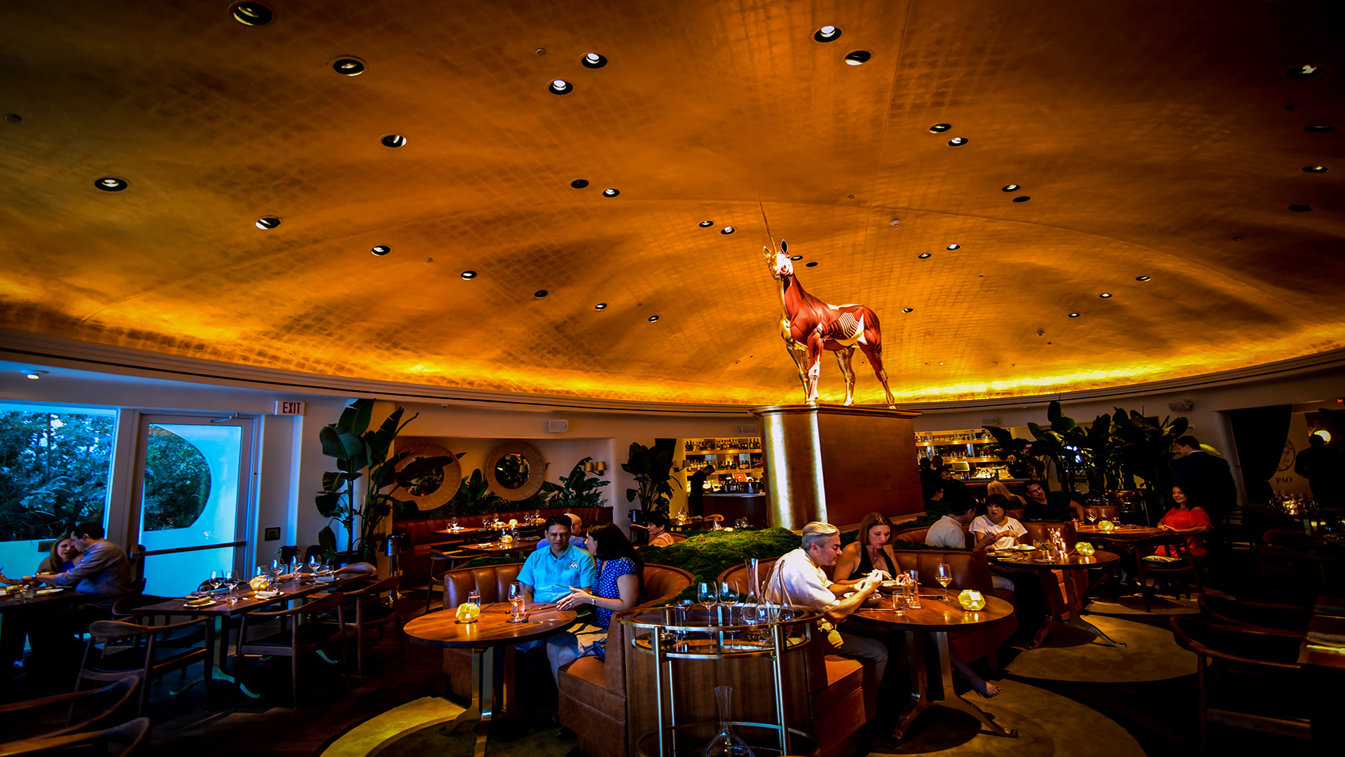 Aesthetics, please: A few of our best-looking commercial domes